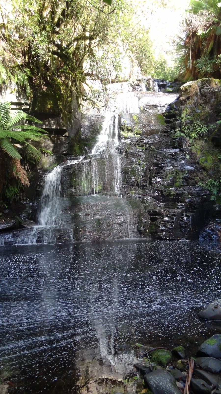 Back To Nature:: Staircase & Allambee Beek Falls - Otway NP - VIC