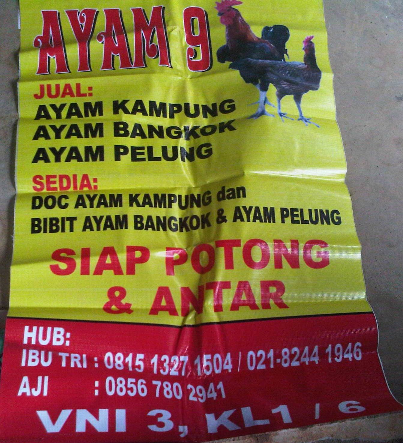 Ide 44+ Spanduk Jual Ayam