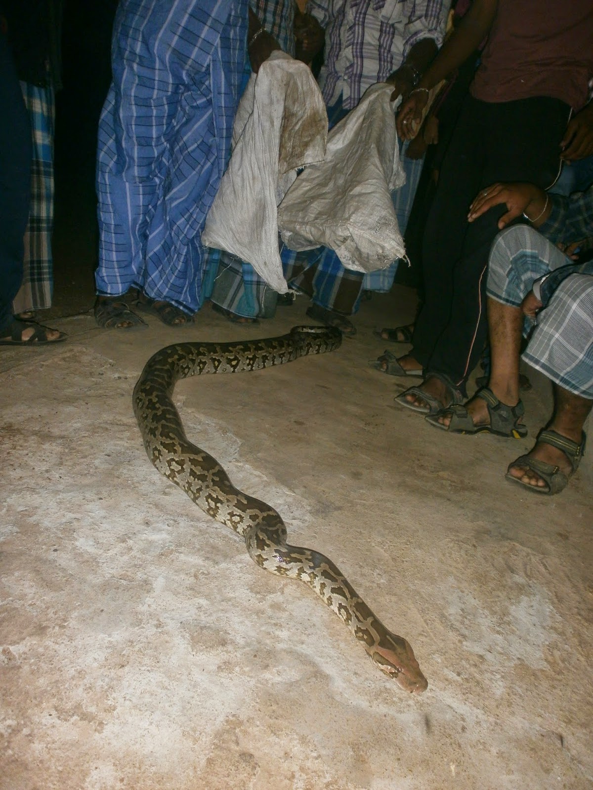 Python ~ Muckanamalaipatti