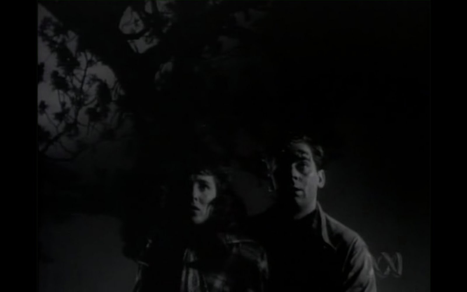 Visible Artifacts: The Whip Hand