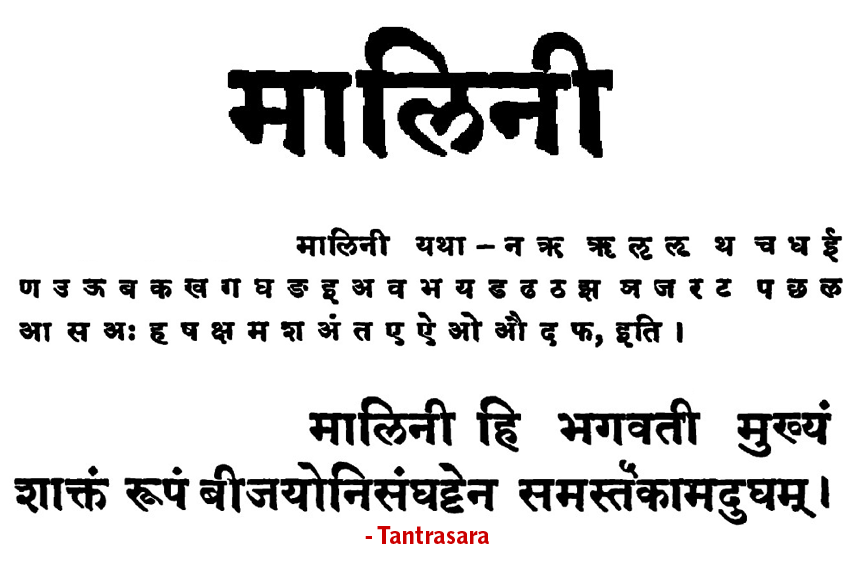 Books: Malini (with 50 Cards)