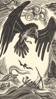 Black and White: The Biggest Bird