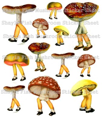 A Prismatic Adventure