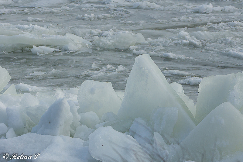 Helma's natuurfoto's: Van water naar ijs en van ijs naar water.....