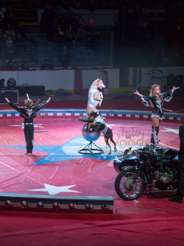 Into the Woods Photography: A Day at the Circus - February's 10 on 10