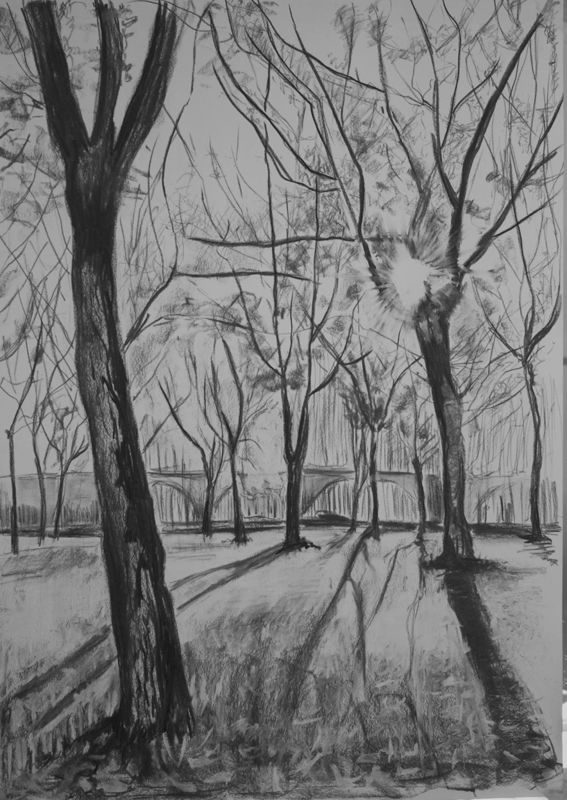 Aylish's OCA Learning Log: Project Drawing Trees: Study of Several Trees