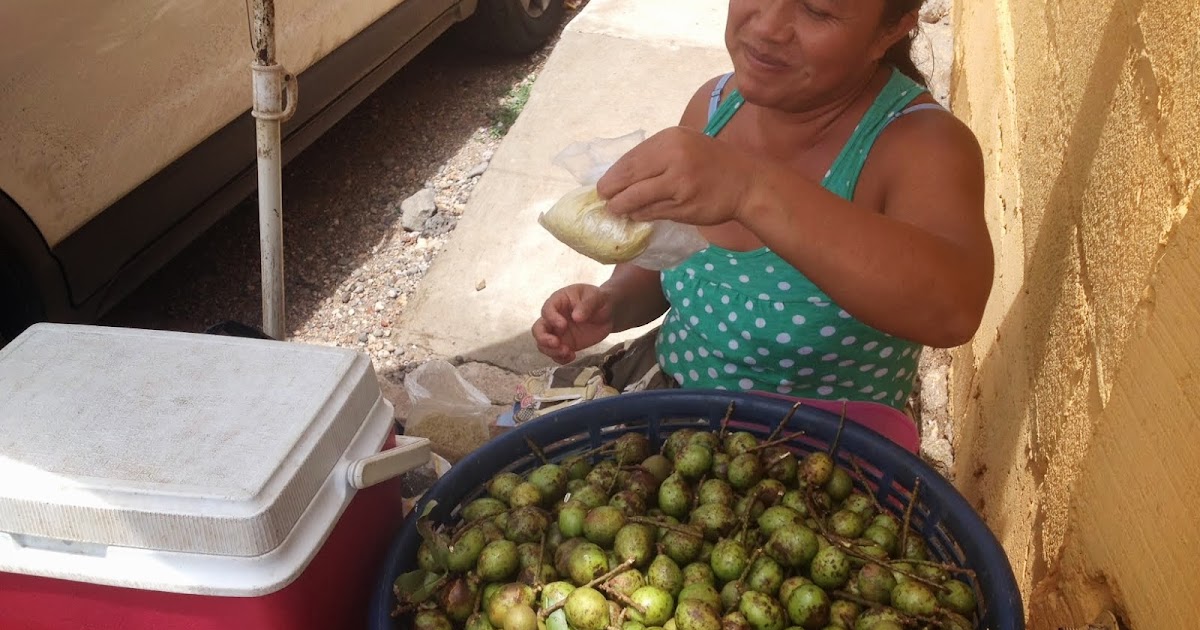 Guatemalan Genes: Talpas - Fruit