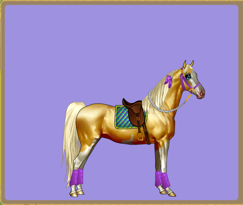 Doll Diaries: Horse Isle 2 Herd