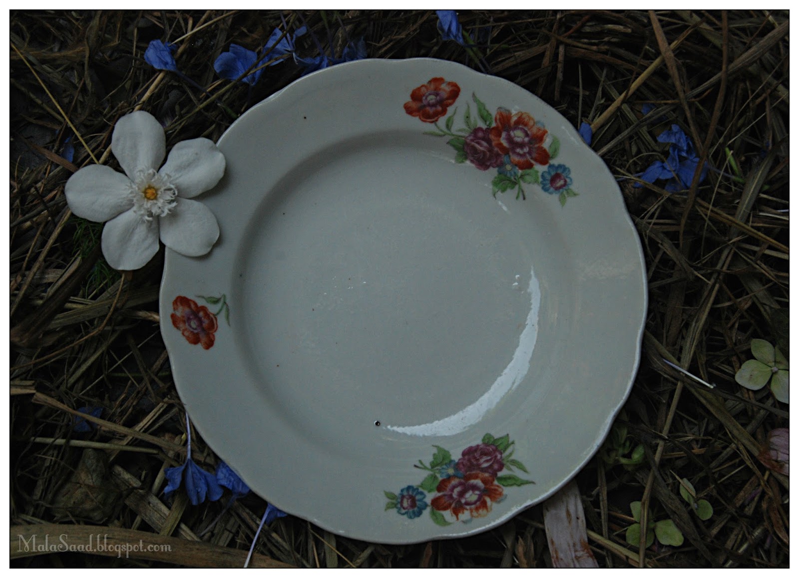 My Green Eye's: Nostalgia Pinggan Lama