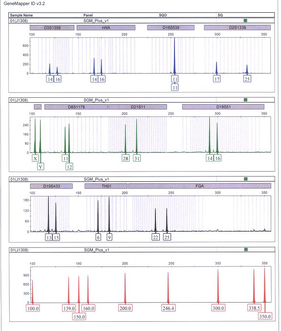 ALL ABOUT DNA: DNA PROFILING