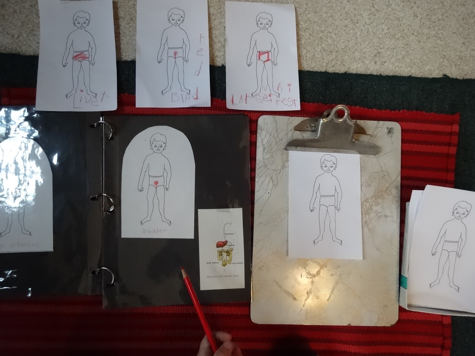 Inspired Montessori, Reggio Loose Parts, and Children's Art : Parts of ...