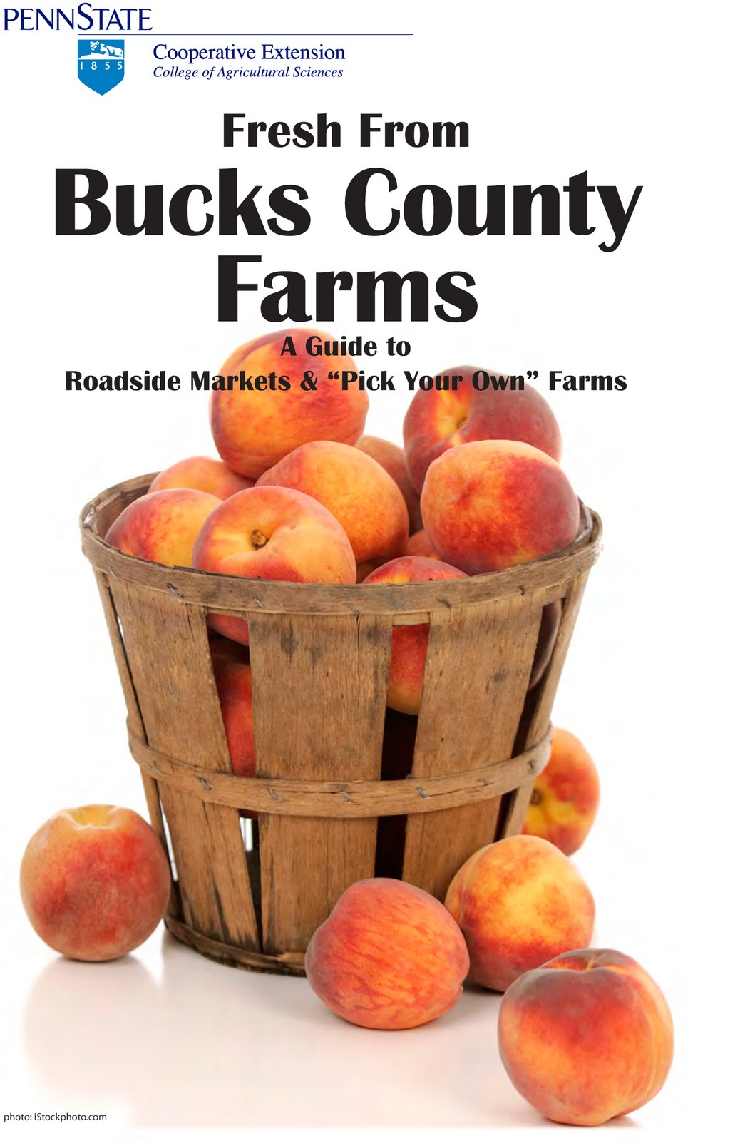 Hort Blog: Fresh From Bucks County Farms