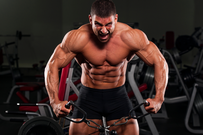 May 2016 ~ Gain Muscle Strength Through Body Building Exercises