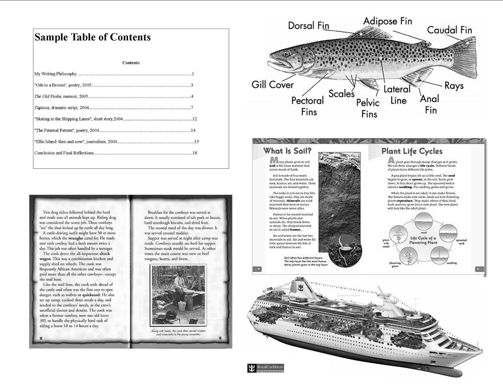 The Two Ts....technology and teaching...(and more...): Text Feature Book