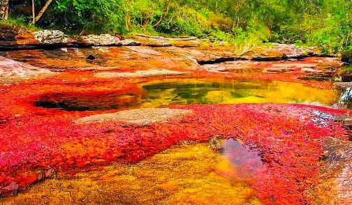 The Culture Ghost: Beauty of liquid rainbow Colombia -The River of Five ...