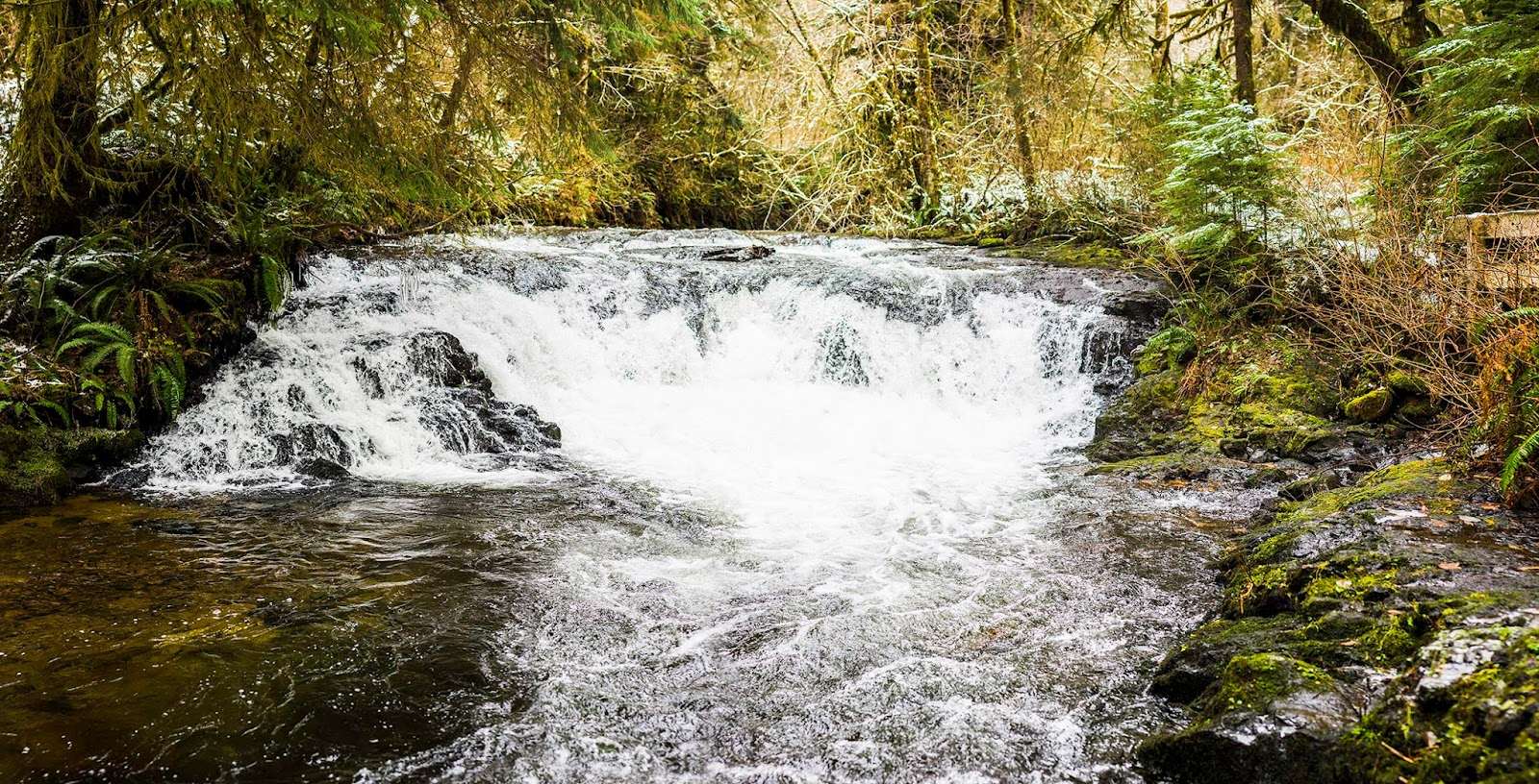 Illuminations from the attic: Barrier Falls