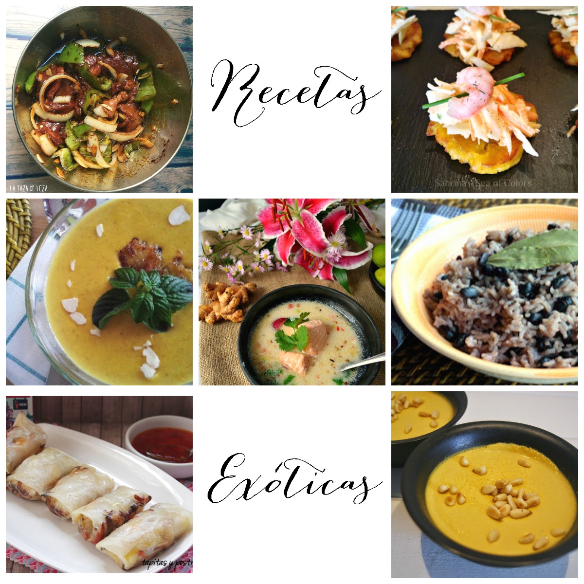 Platos Exóticos | La Taza de Loza