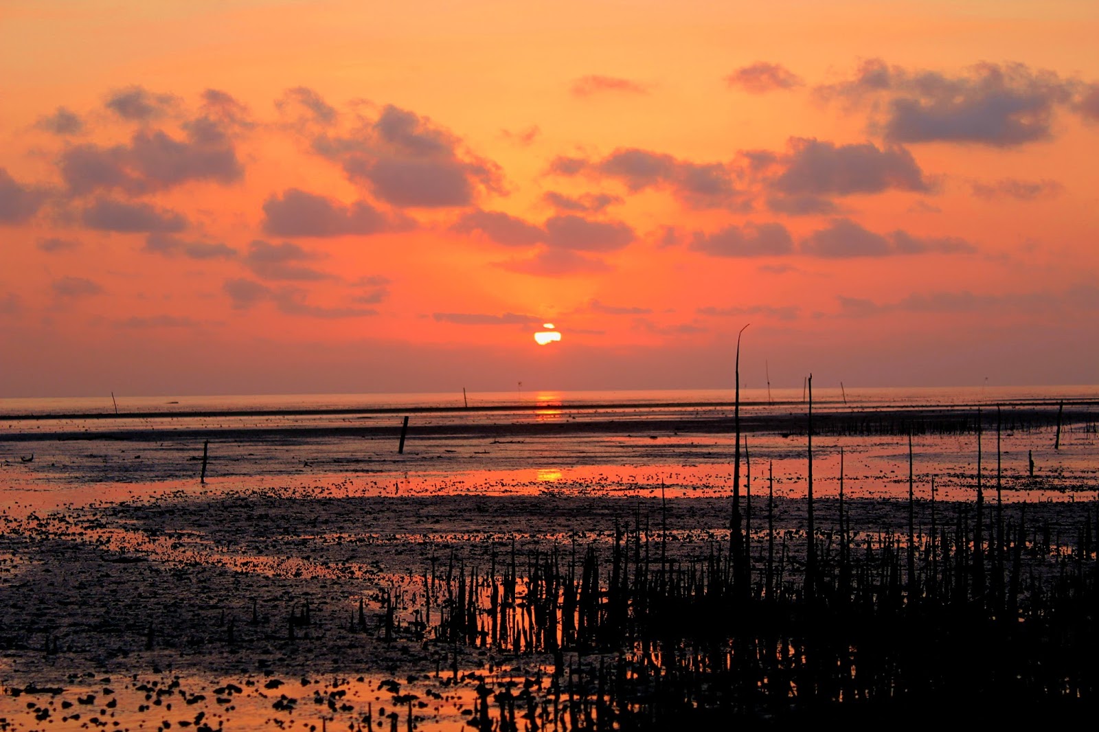 Feel The Harmony of International Relation, Pegatan and Katingan ...