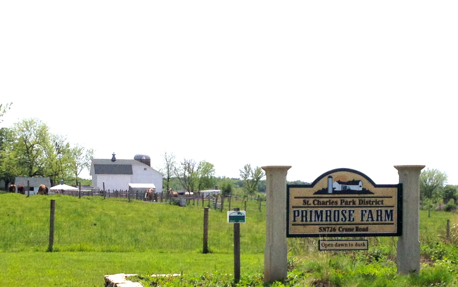 Karen Beeson: Belgian Draft Horses at Primrose Farm