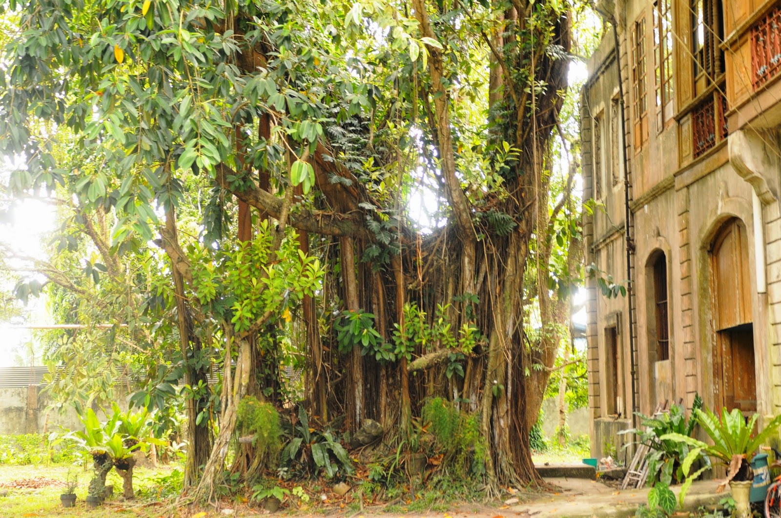 Journey to Forever: The Blessing that was Bacolod