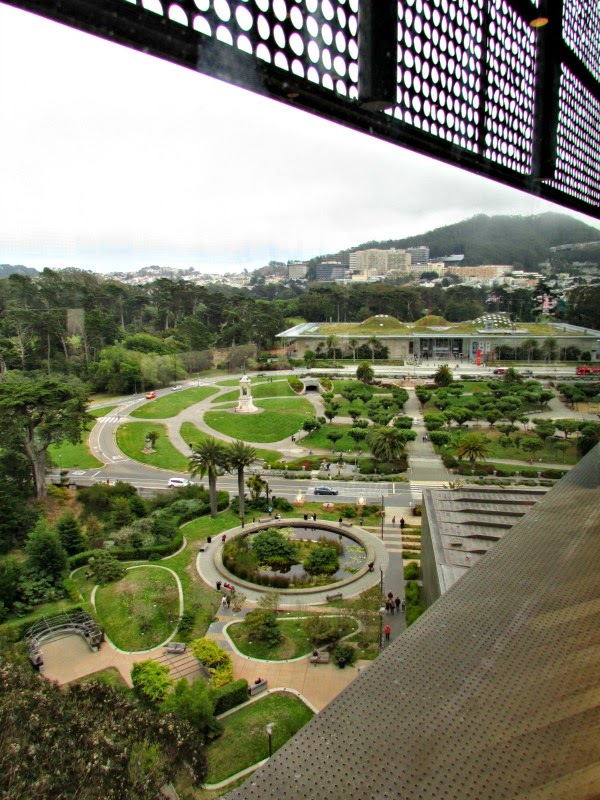 The Everyday: Adventuring // Hamon Observatory Tower in Golden Gate Park