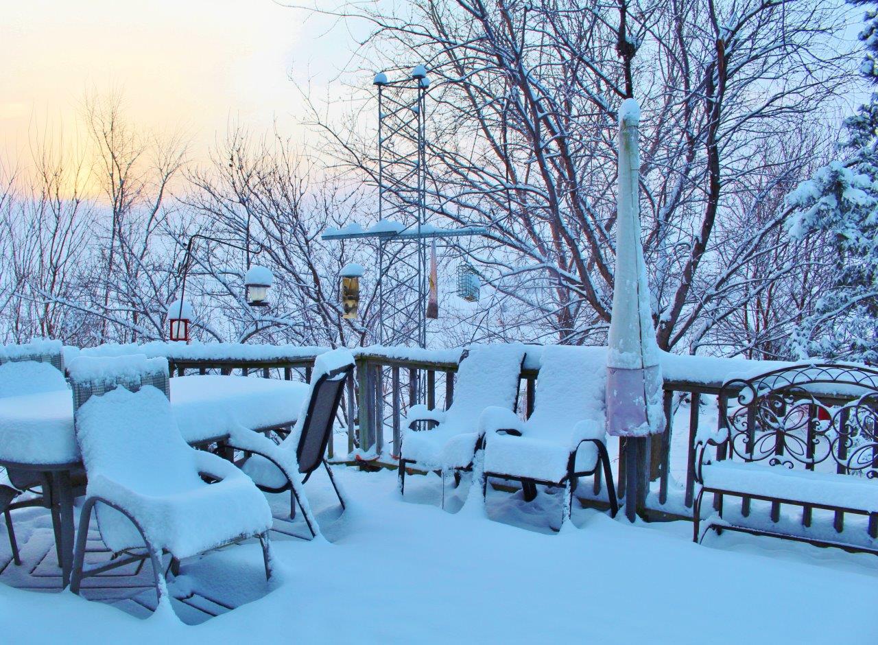 Sarah Lynn's Nature's Splendor: Photos: Snowy Sunday