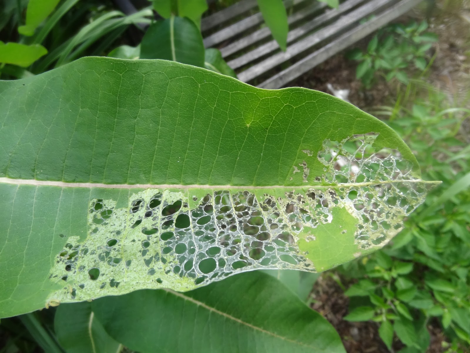 Live and Learn-Toss and Turn: Jul 22, 2013