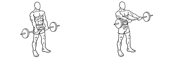 ELEVACION FRONTAL CON BARRA ~ RUTINAS DE VOLUMEN