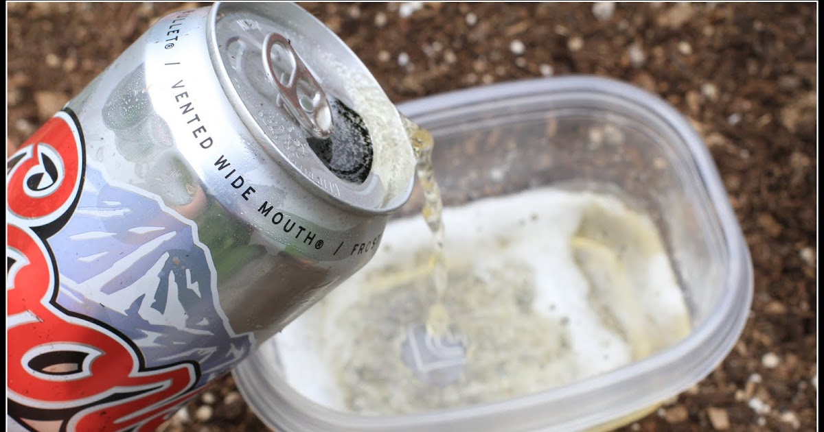 Desperate Gardener: Natural Slug Control