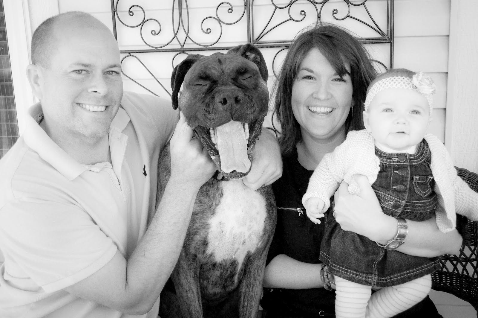 ashley colsten photography: Mathewson Family