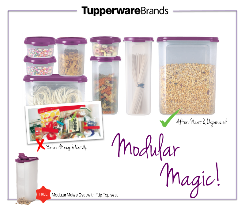 ::Tupperware Collections::: Mega Modular Mates Set