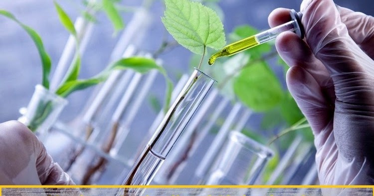 What Are The Advantages And Disadvantages Of Modern Agriculture what-are-the-advantages-and-disadvantages-of-modern-agriculture