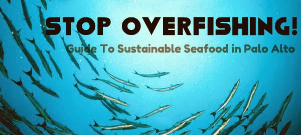 Stop Overfishing!