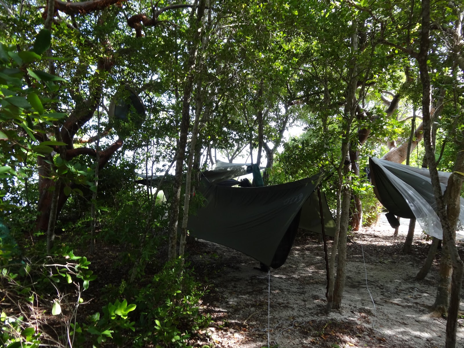 Lair of the Uber Geek: We've returned from Sea Base!