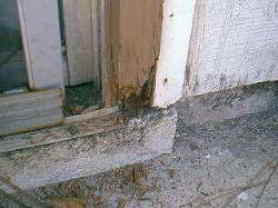 MoD Design Guru - Fresh Ideas + Cleverly Modern Design: Dry Rot Damage ...