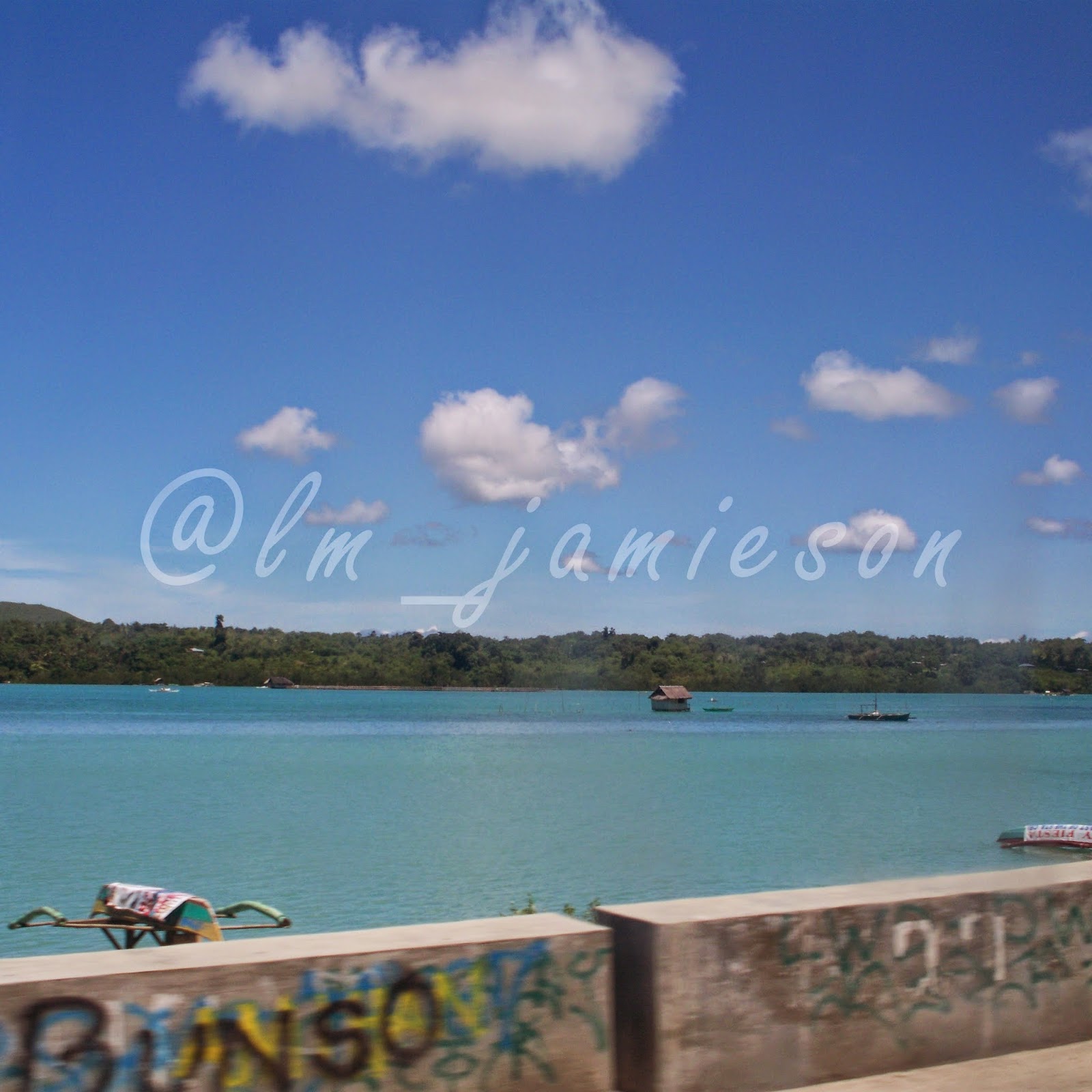 Lin-Marie Jamieson: May 2015