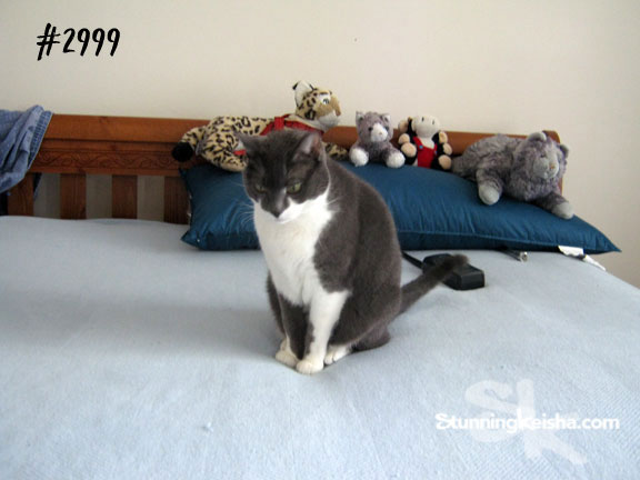 Two Beds; No Waiting | Stunning Keisha