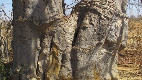 DES AFRIQUE...entre EAUX, AIRS et DESERTS: LE FERLO.