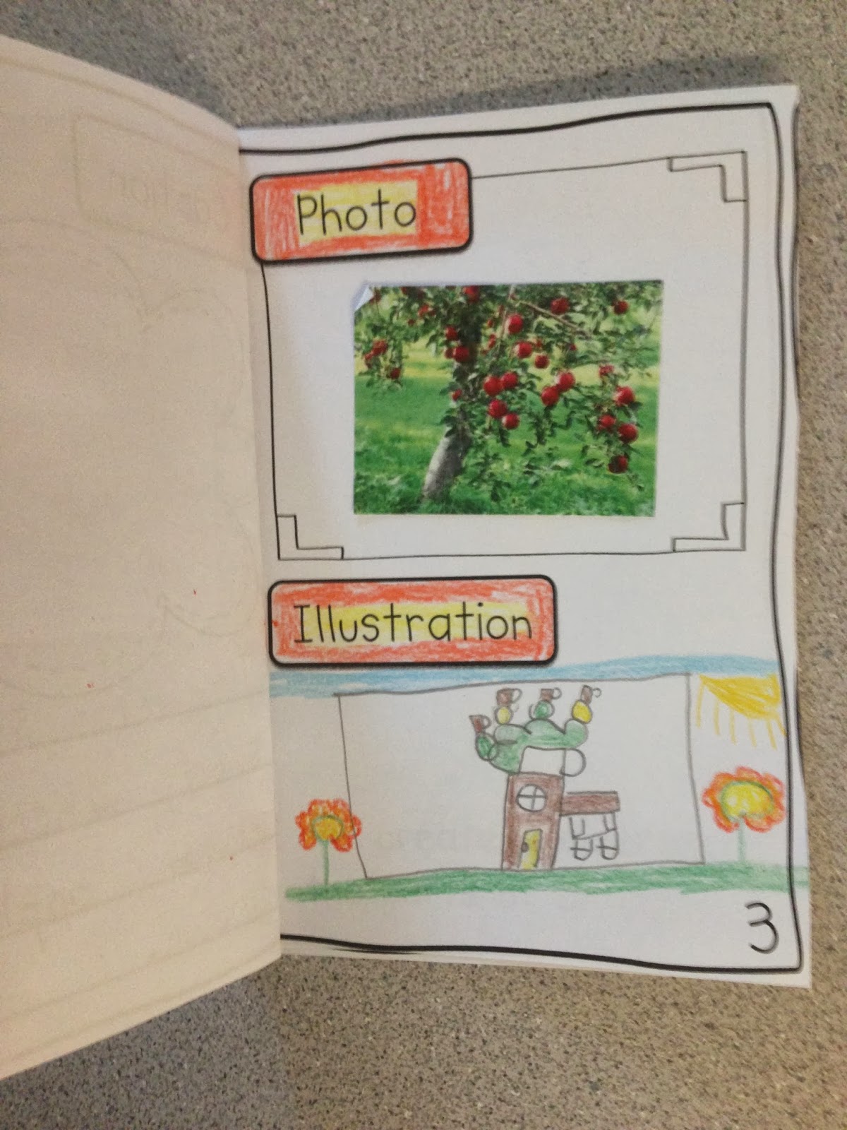First Grader...at Last!: Appletivities...and 2 Apple FREEBIES!