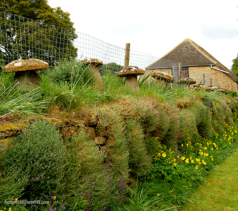 Juniper Hill: Staddle Stones