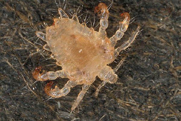 Un dermatólogo en el museo : 2018-09-16