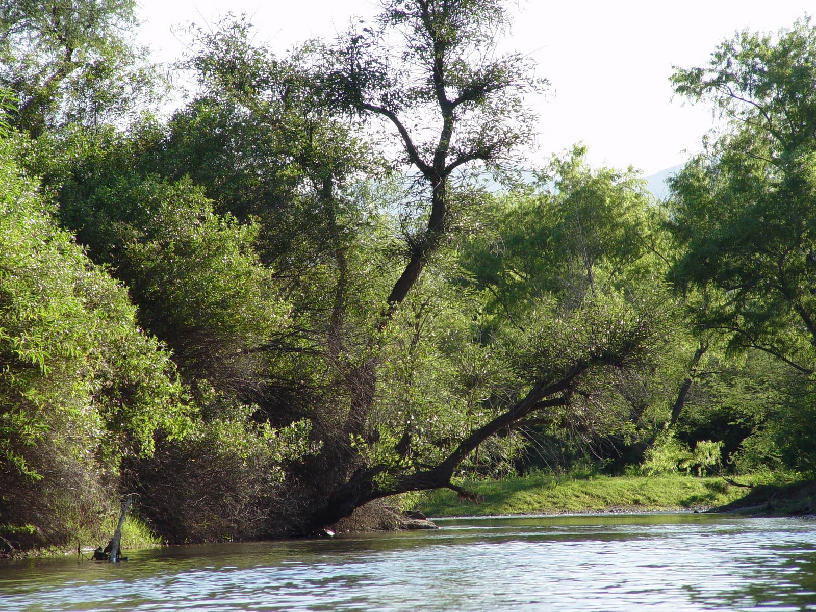 LOS RÍOS TRAEN EL AGUA DE LA VIDA: RÍO JURAMENTO 2005