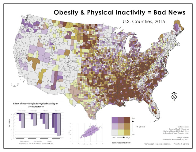 Lab 9 - Bivariate Choropleth & Multivariate Maps