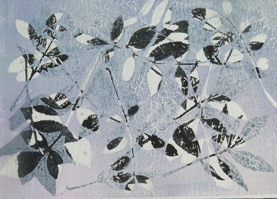 Stef Mitchell - Field and Hedgerow: Affordable art for all