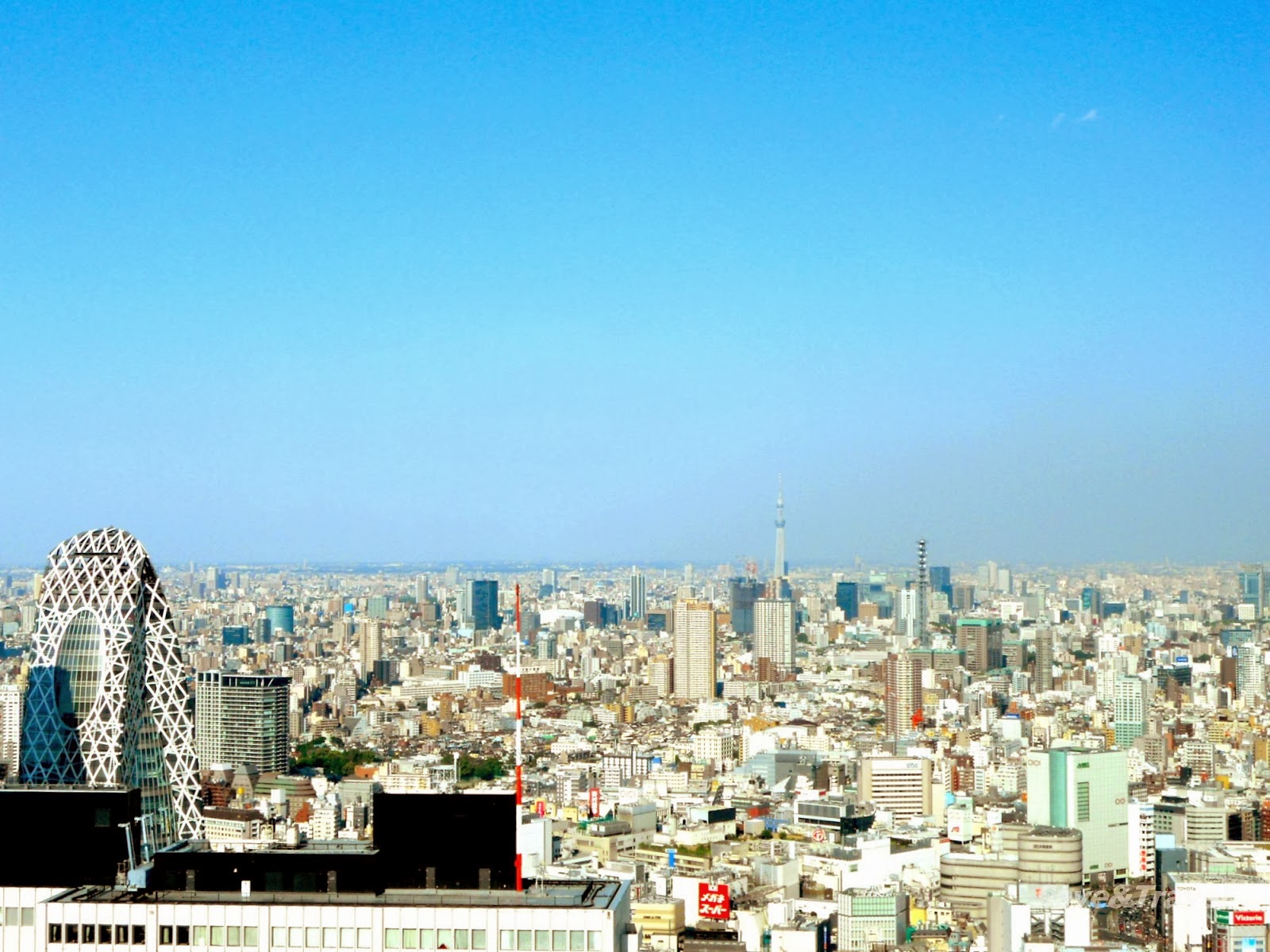 Save & Travel: Japan Golden Week - West Tokyo