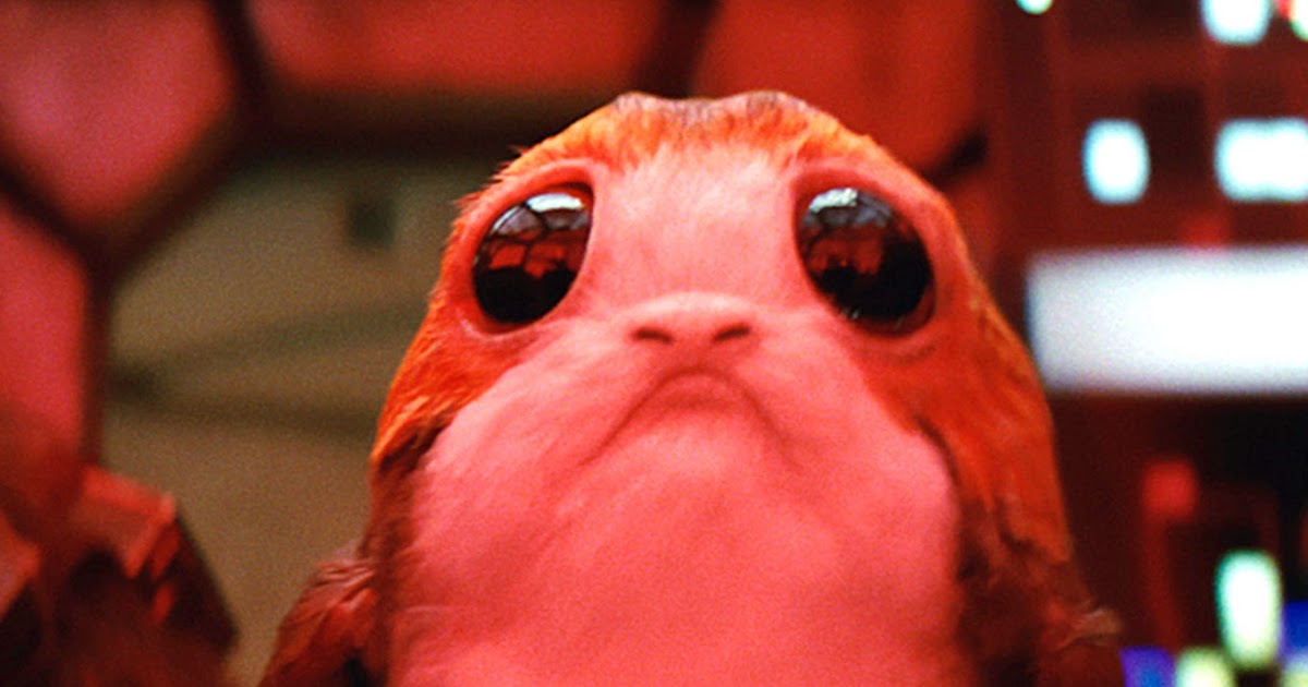It's Time to Fall in Love With the Porgs in STAR WARS: THE LAST JEDI