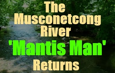 Please enable JavaScript