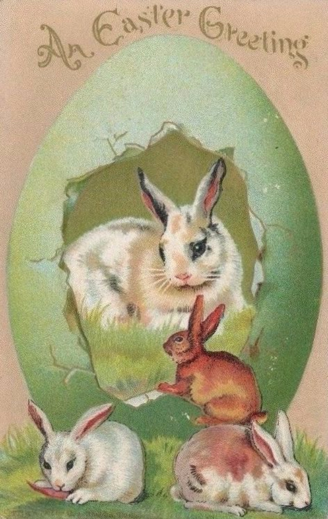 A Collection of 30 Cute Bunny Rabbit Vintage Easter Postcards ~ Vintage ...
