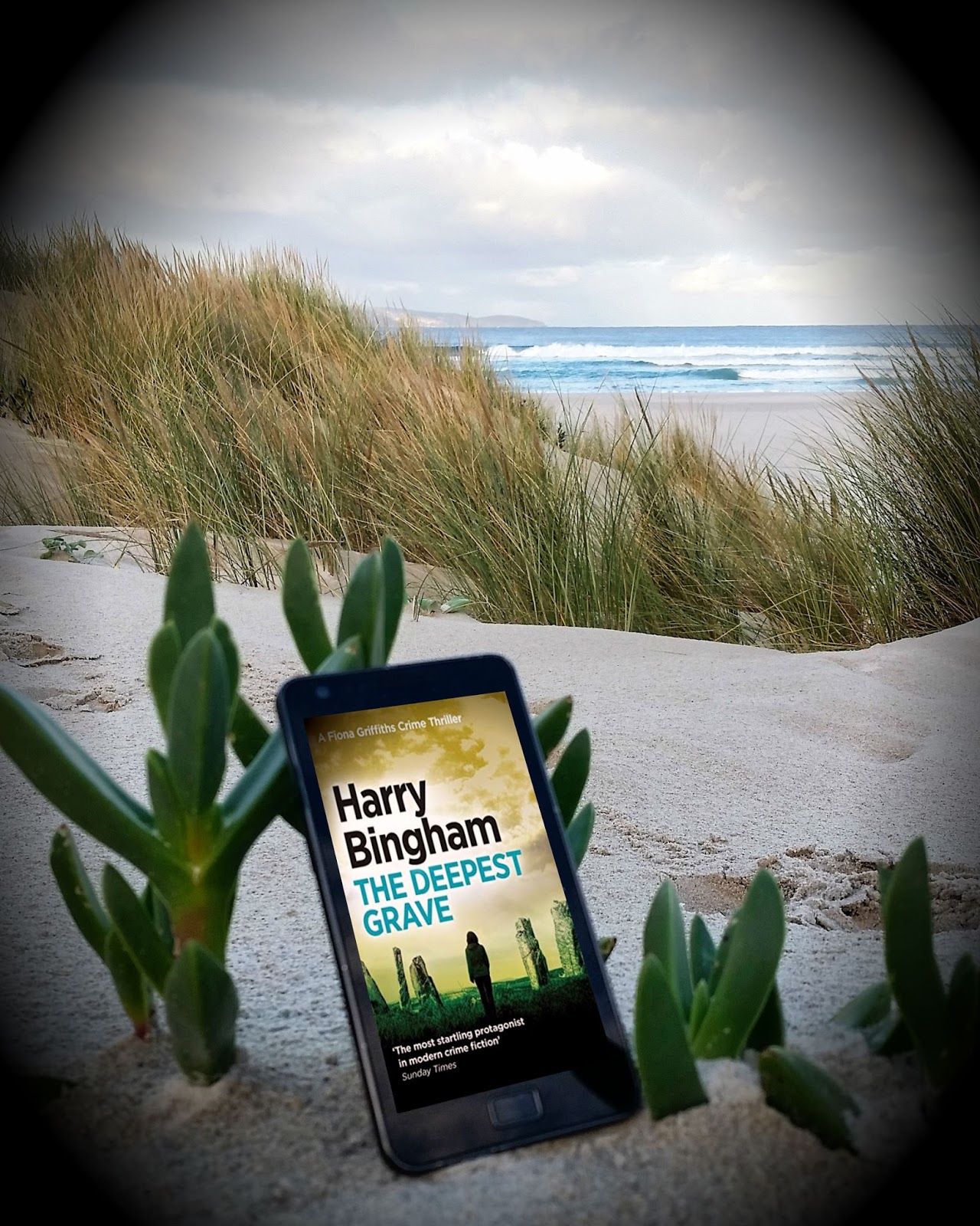 but books are better: Audiobook Review: THE DEEPEST GRAVE (Fiona ...