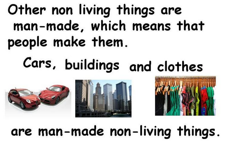 Science and Physical Education: Unit 1: Living Things